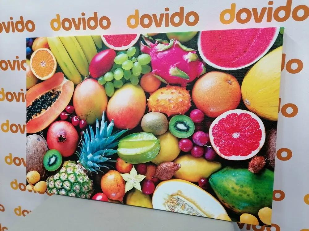 Obraz tropické ovoce - 90x60 cm
