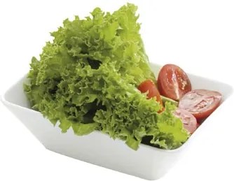 TESCOMA miska salátová GUSTITO 17x12 cm
