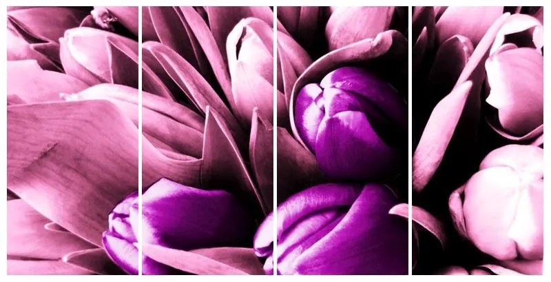 Obraz tří fialových tulipánů  (160x80 cm), 40 dalších rozměrů