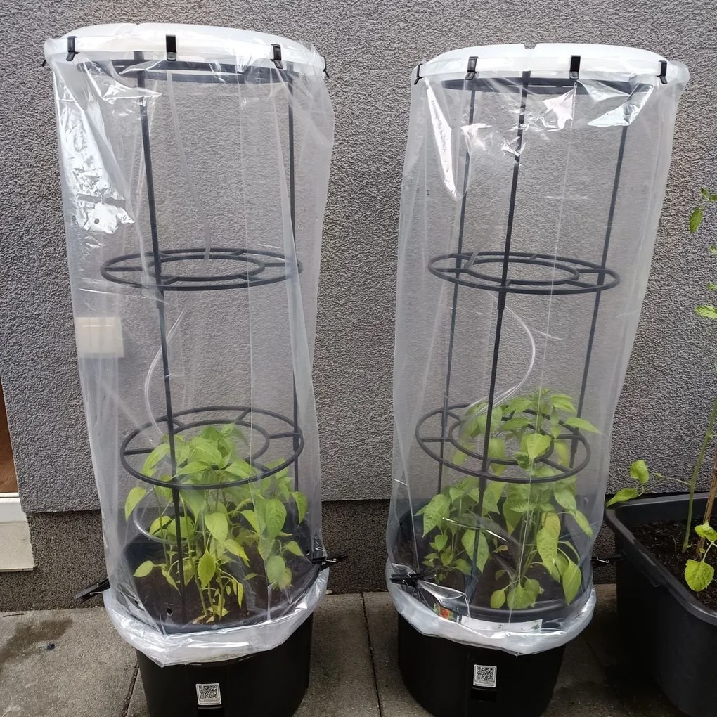 PROSPERPLAST Květináč na pěstování rajčat TOMATO GROWER antracit 39,2cm (max. výška: 153cm)