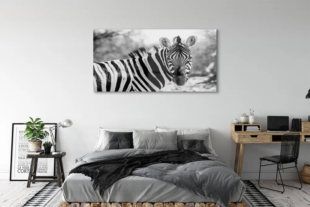 akrylový obraz retro zebra 140x70 cm