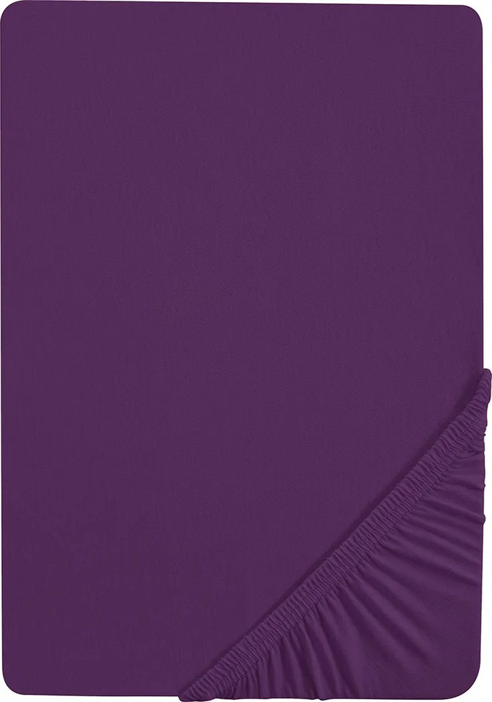 Biberna Napínací prostěradlo žerzej-elastan, výška rohu do 25 cm. (fialová, 140-160 x 200 cm)