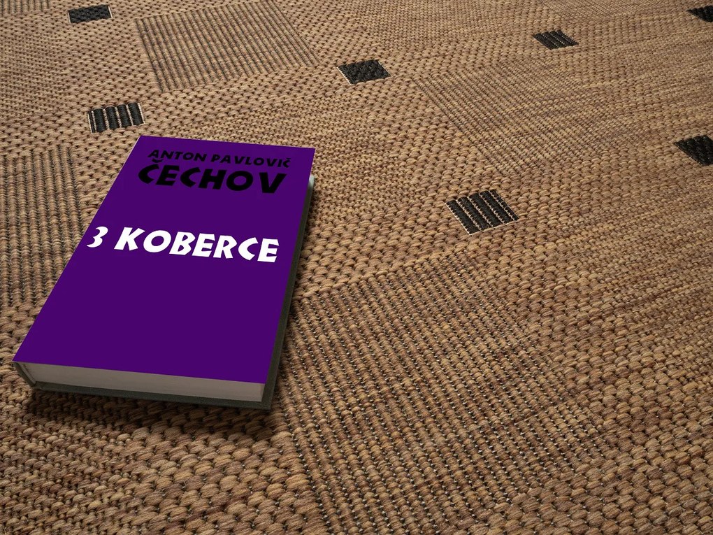 Devos koberce Kusový koberec FLOORLUX Coffee/Black 20079 – na ven i na doma - 200x290 cm