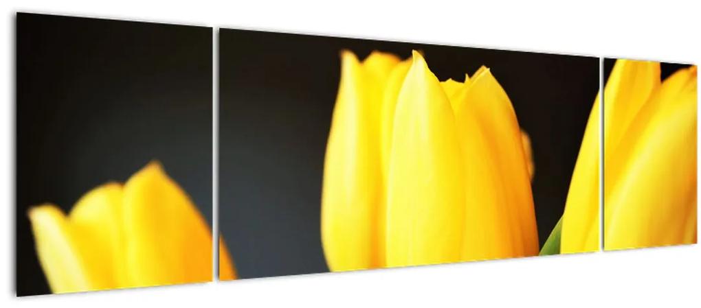 Obraz tulipánů (170x50 cm)