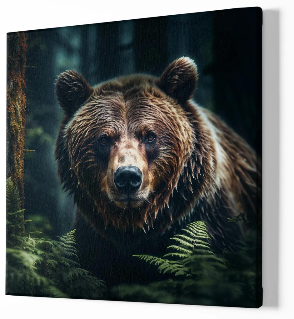Obraz na plátně - Medvěd v kapradí, Králové divočiny FeelHappy.cz Velikost obrazu: 80 x 80 cm