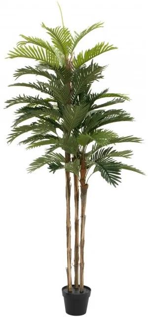 Umělá květina - Kentia palma, 150cm