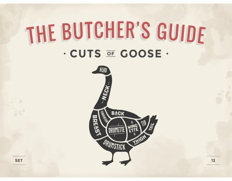 Cedule The Butchers Guide - Cuts Of Goose 40 x 30cm