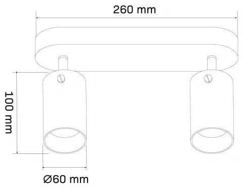 Bodové svítidlo SMOKY 2xGU10/10W/230V černá