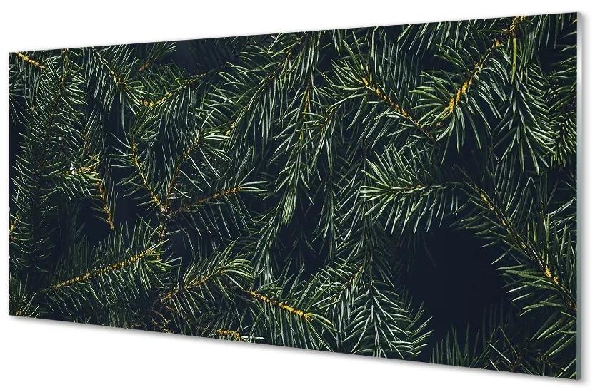 Obraz na skle Vánoční strom větvičky 100x50 cm