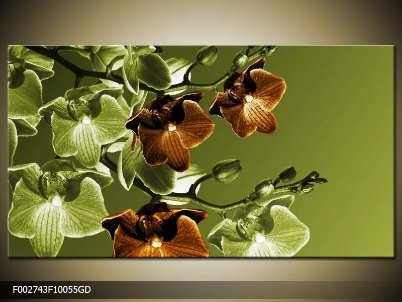 Obraz třech hnědých květin se zeleným pozadím  (), 40 dalších rozměrů