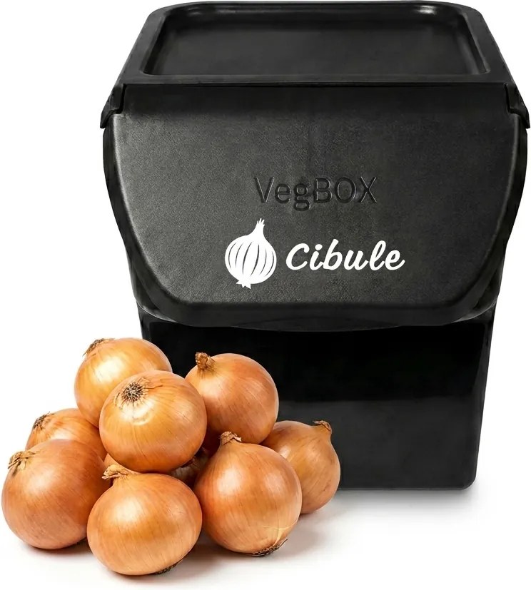 VILDE Úložný box na brambory a cibuli s větráním, VEGBOX šedý (14l - 5-8kg brambor)