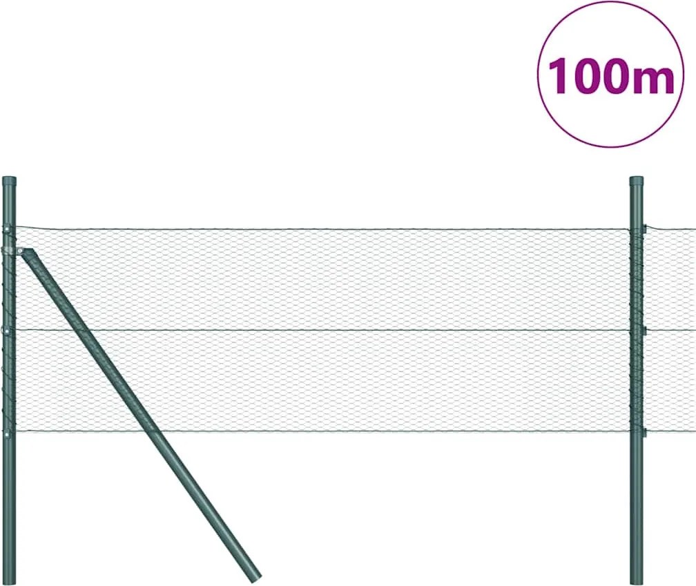 Hexagonální kotvení plotu 100 x 0,5 m Ocel potažená PVC Zelená 3352732