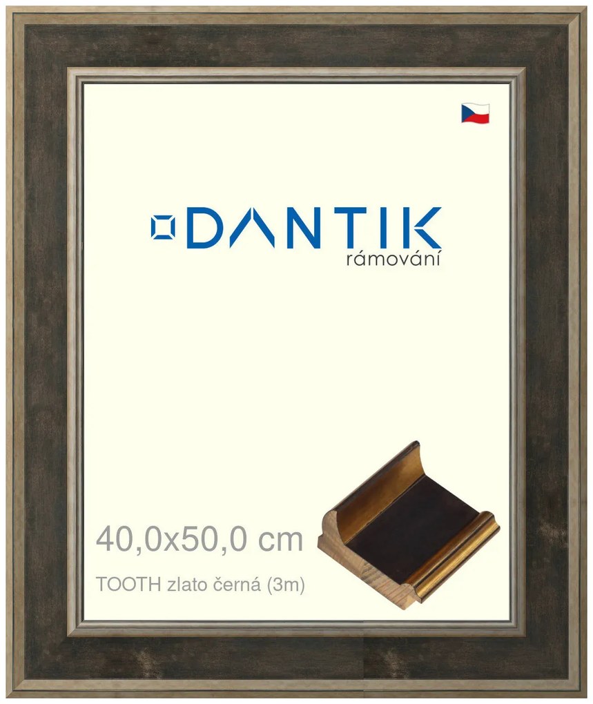 DANTIK rámeček 40x50 | TOOTH zlato černá (Sklo Čiré)