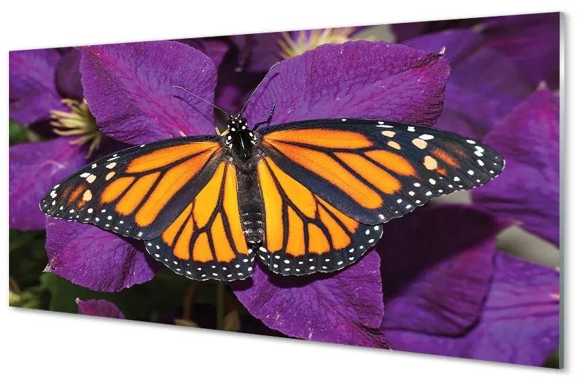 akrylový obraz Barevný motýl květiny 120x60 cm