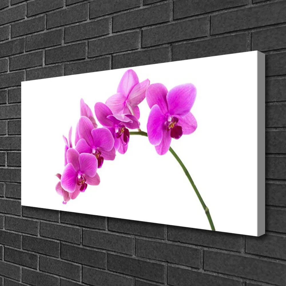 Obraz na plátně Vstavač Květ Orchidej 140x70 cm