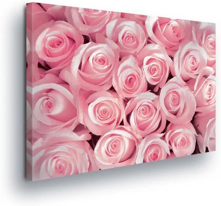 GLIX Obraz na plátně - Květy Růžových Růží 100x75 cm