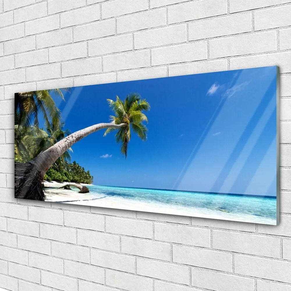 Plexisklo-obraz Pláž Palma Moře Krajina 125x50 cm