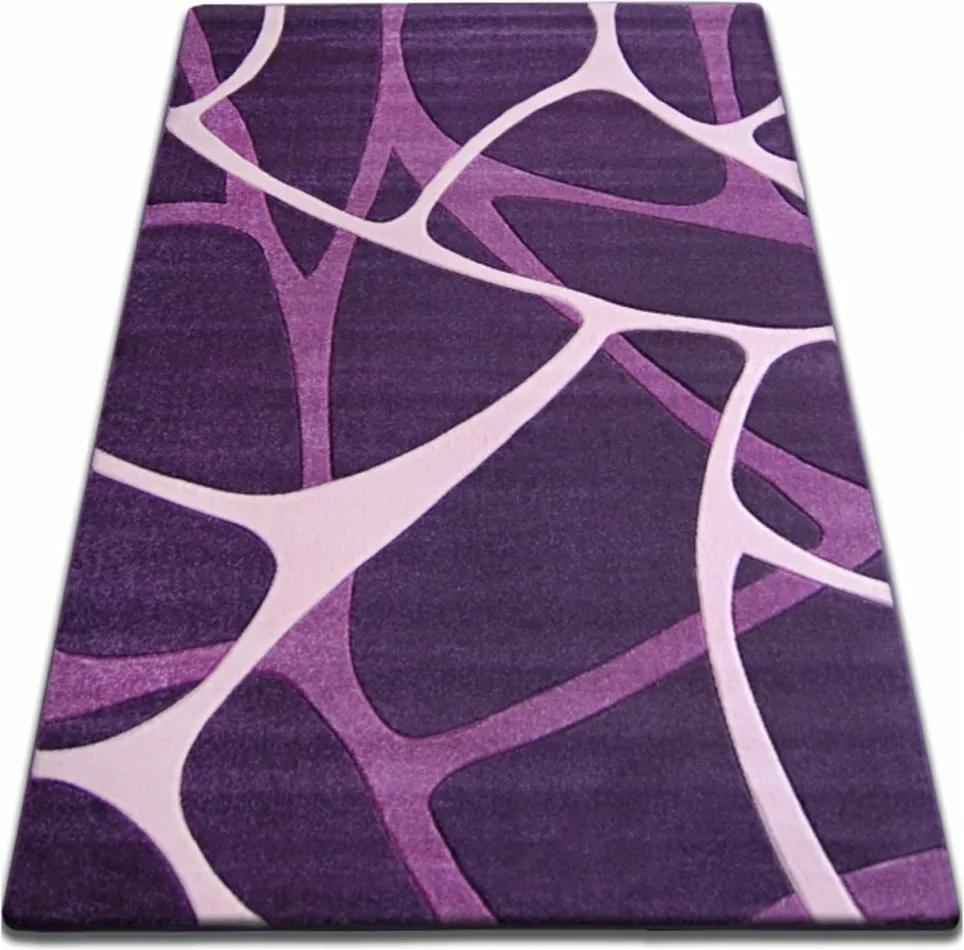 Kusový koberec Síť fialový, Velikosti 200x290cm