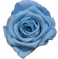 Hlavy růží - premium 4 ks Sky blue - světle modrá