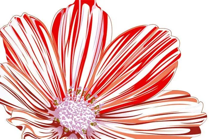 Fototapeta DIMEX Red Flower II XL-342| 330 x 220 cm