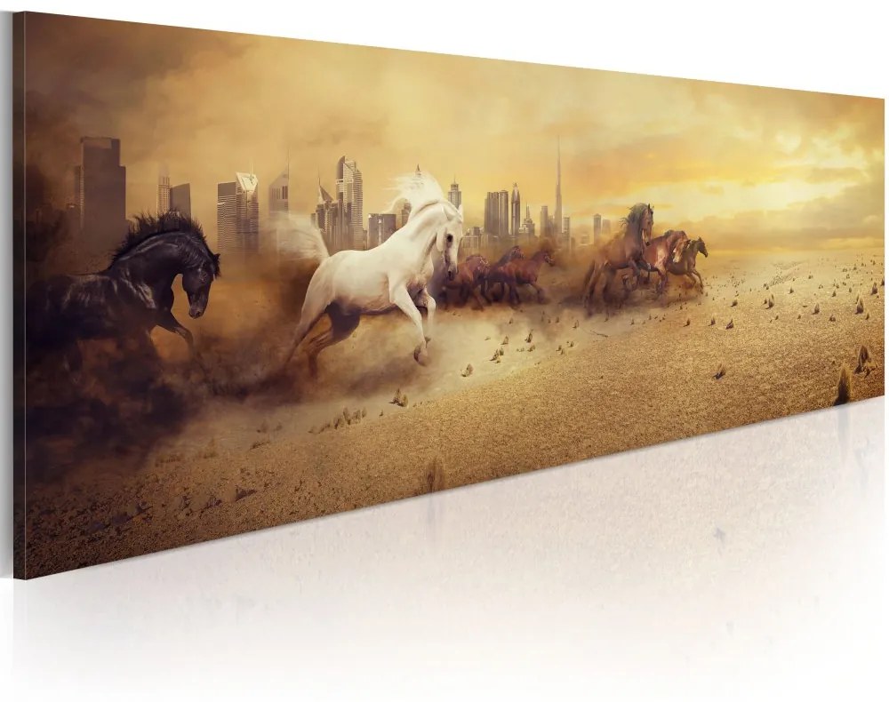 Obraz na plátně Bimago - City of stallions 120x40 cm,