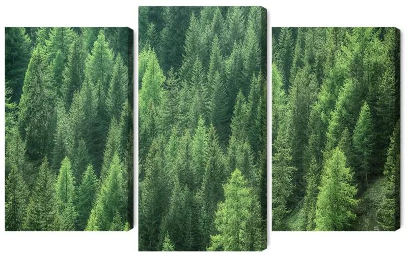 Vícedílný obraz 3D Pohled Na Zelený Les Nedostatek Nedostatek Plátno Canvas 120x80
