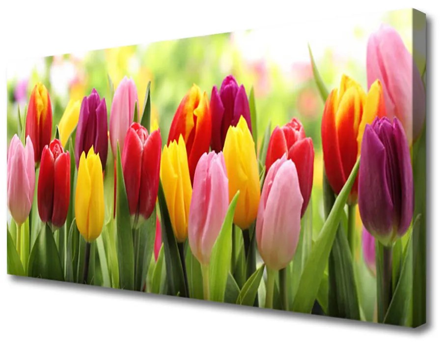 Obraz na plátně Tulipány Květiny Příroda 125x50 cm