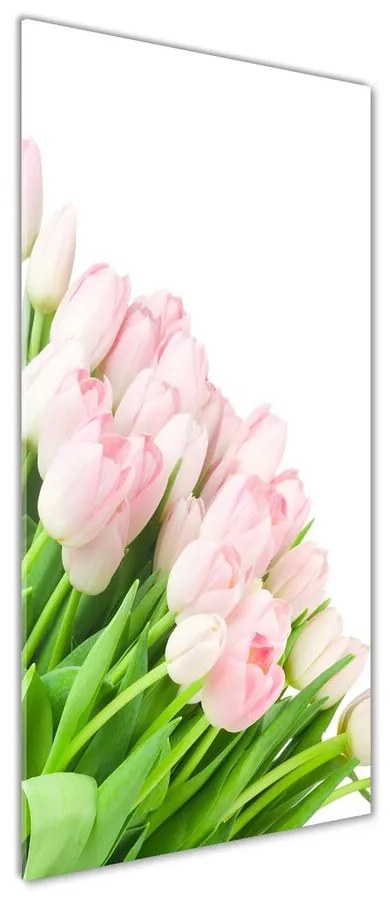 Wallmuralia Fotoobraz na skle Růžové tulipány 50x125 cm