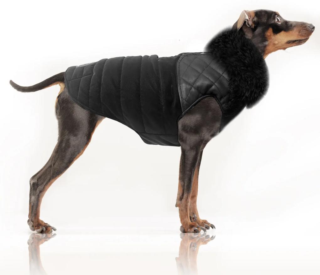 MILK&PEPPER Kabát pro psy Shane černý Velikost: 26