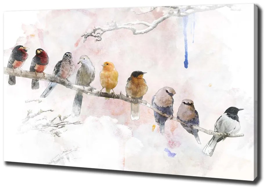 Wallmuralia Foto obraz na plátně Ptáci na větvi 100x70 cm