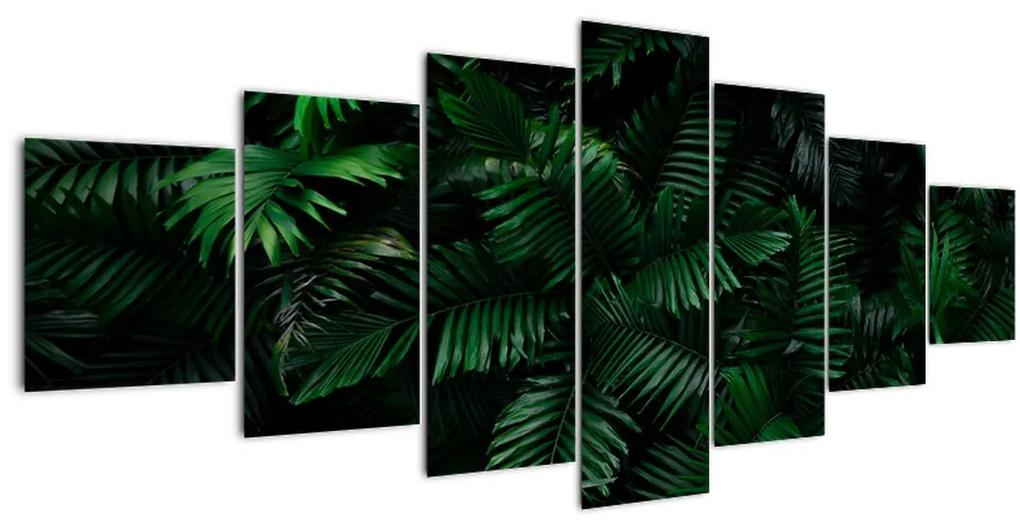 Obraz - Tropické kapradí (210x100 cm)