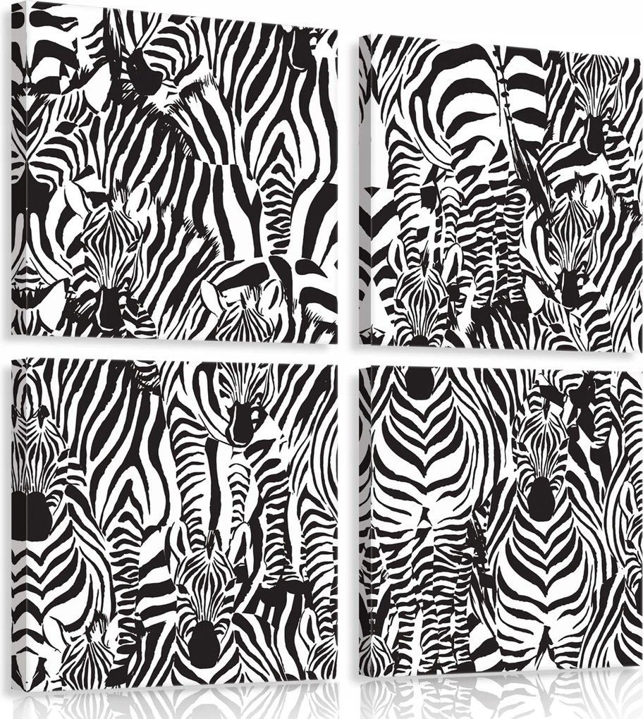 Obraz 50x50 Zebra pruhy černobílý kontrast vzor Afrika styl grafika