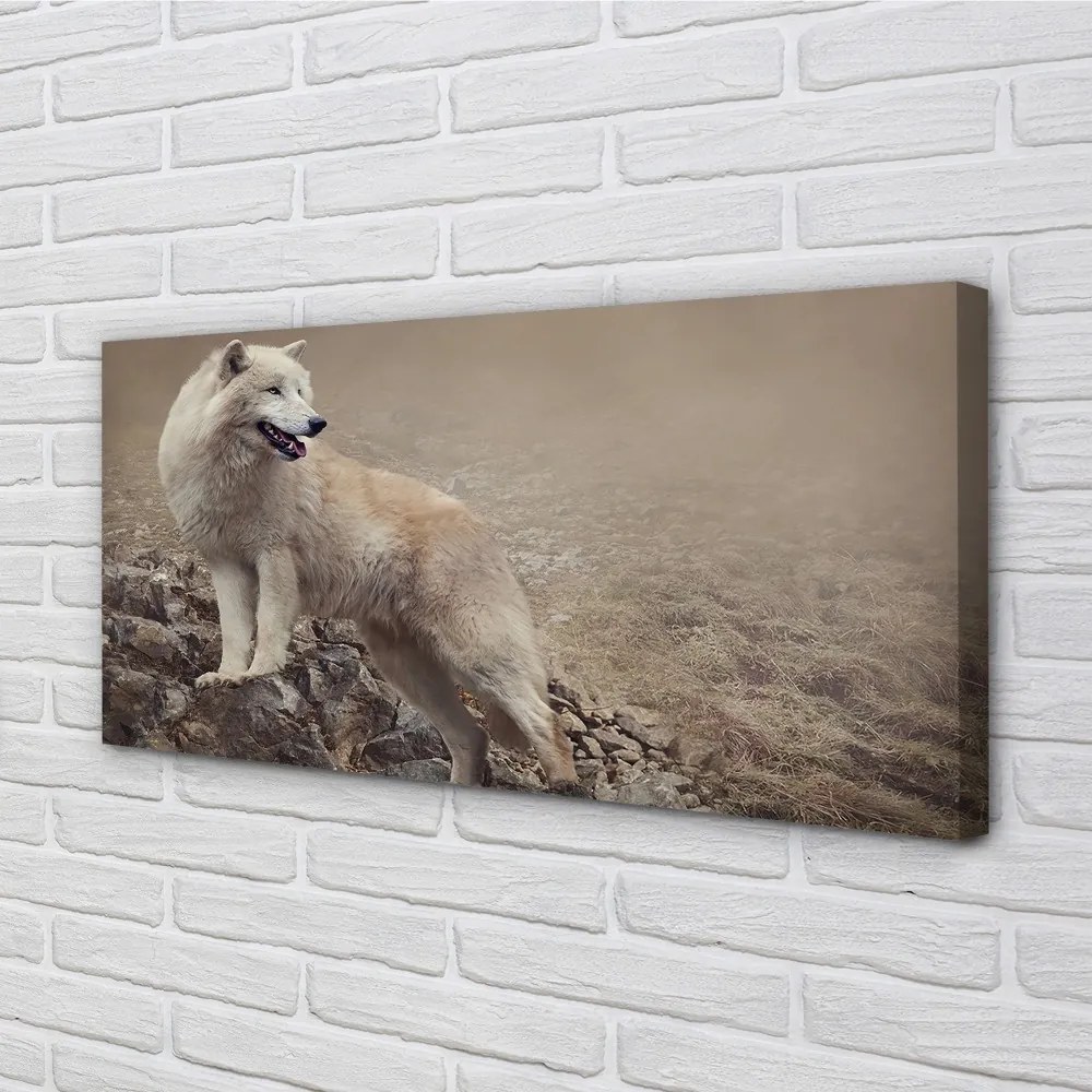 Obrazy na plátně vlk hory 100x50 cm