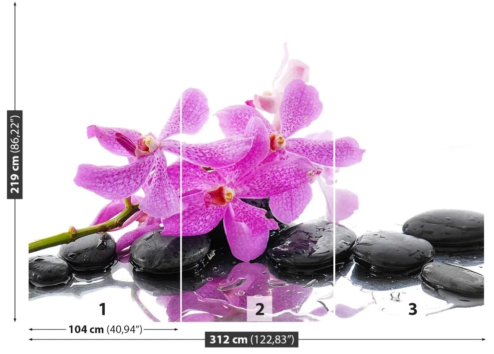 Fototapeta Růžová orchidej 104x70