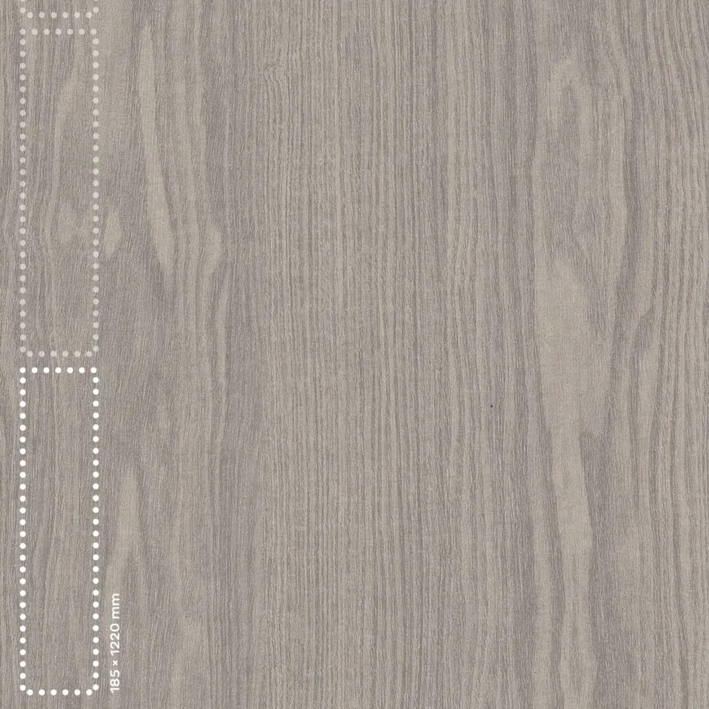 Vinylová podlaha Amtico First Frosted Oak SF3W5020