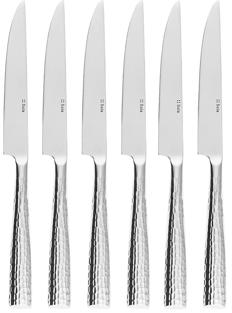 Steakové nože v magnetickém boxu set 6 ks – Miracle - 123867