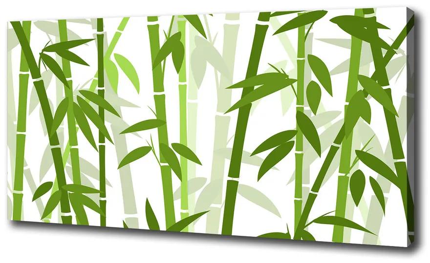 Wallmuralia Foto obraz canvas Bambus 100x50 cm