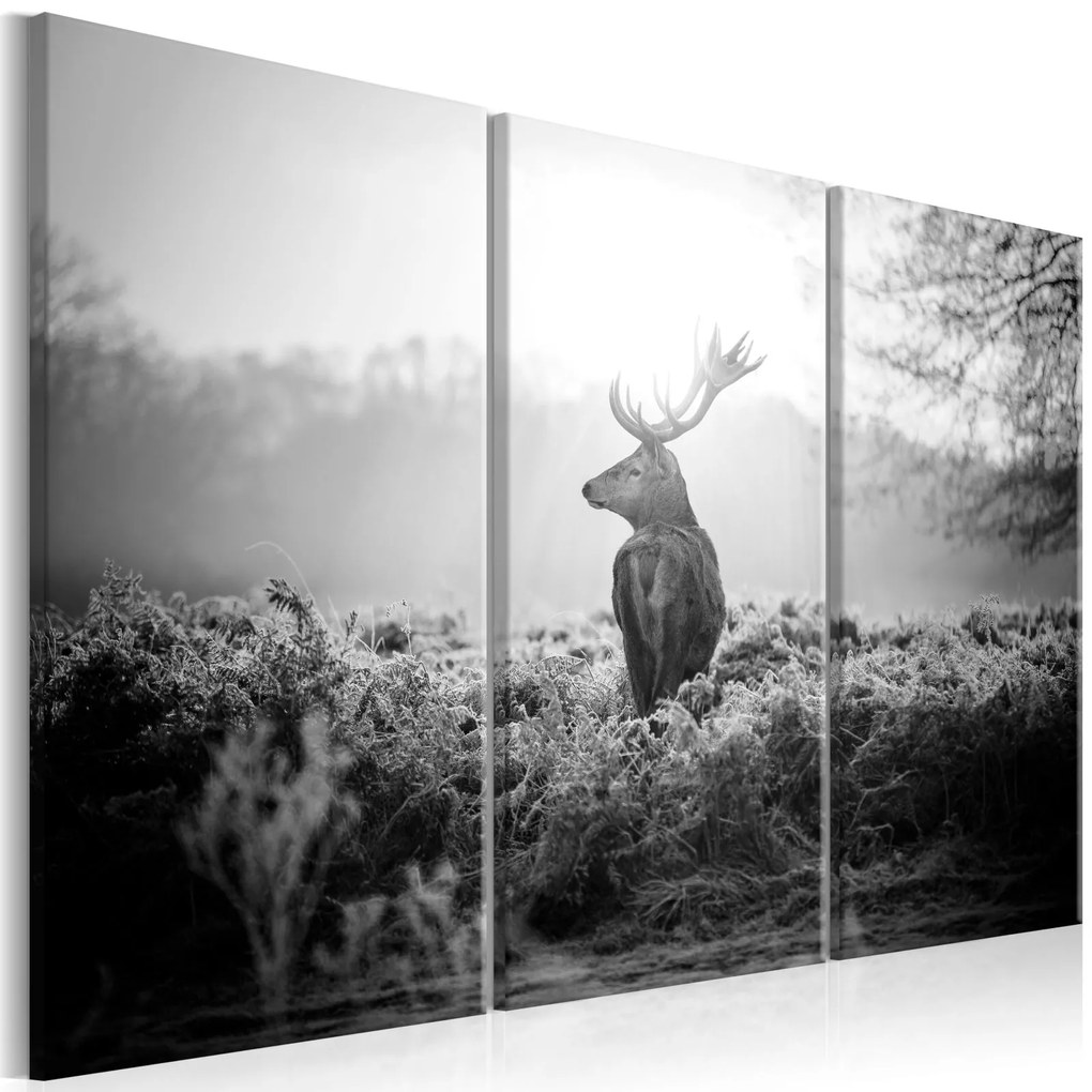 Obraz - Black and White Deer I 120x80