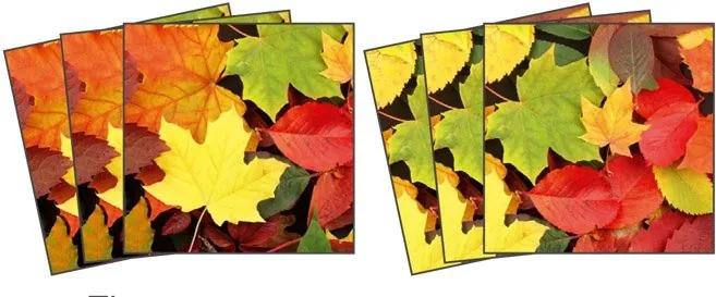 Samolepicí dekorace na kachličky barevné podzimní listí TI-014 / Leaves nálepky na kachličky (15 x 15 cm) Dimex