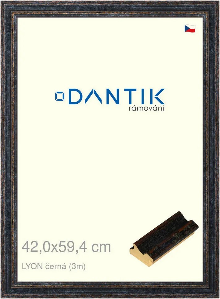 DANTIK rámeček 42x59,4 | LYON černá (Plexi Čiré)
