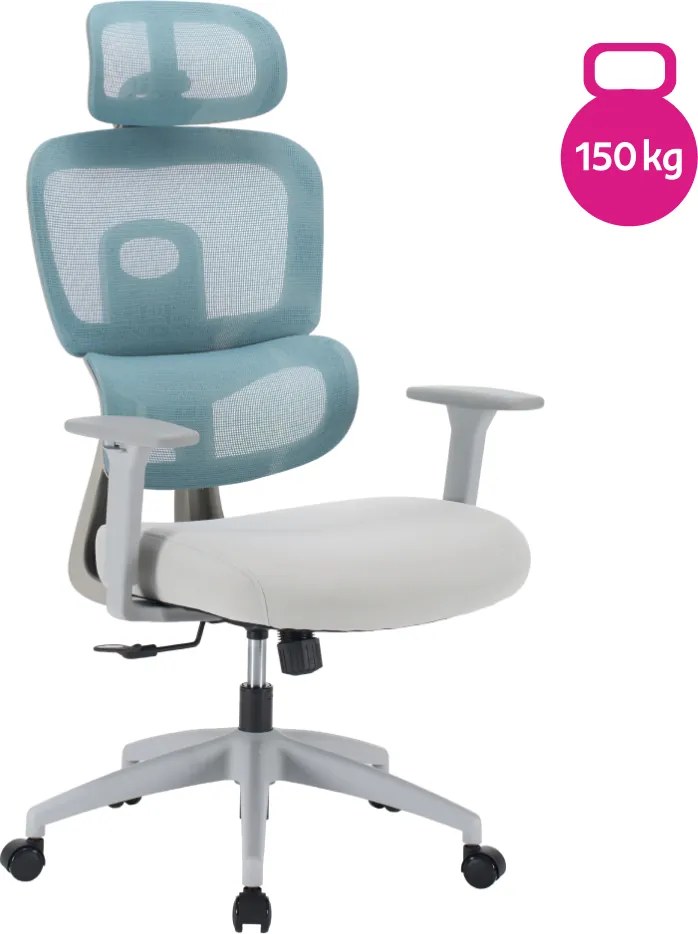 Ergonomická kancelářská židle NEONIT - neomint síťovina / šedá látka / nosnost 150 kg