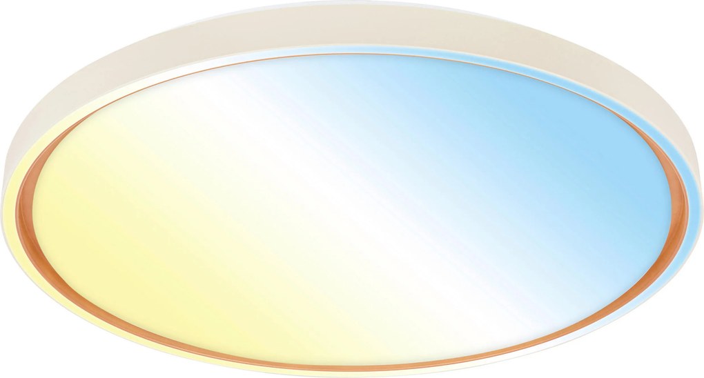 XXXLutz STROPNÍ LED SVÍTIDLO, 49,5/6,5 cm - Stropní svítidla - 004474017201