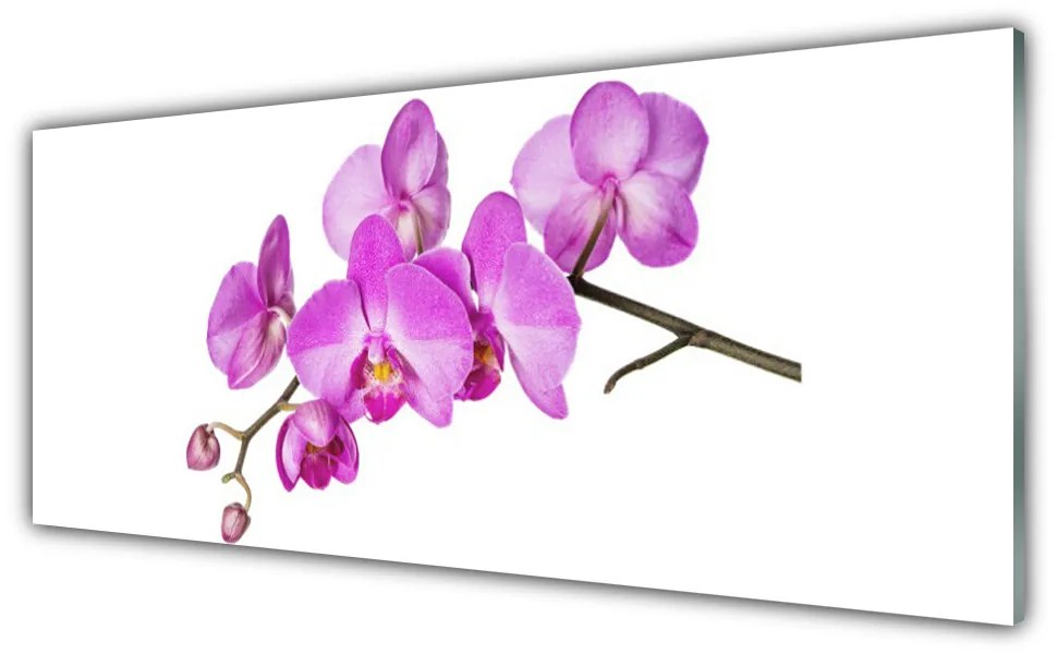 Plexisklo-obraz Vstavač Orchidej Květiny 125x50 cm