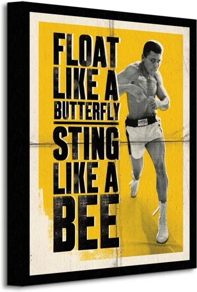 Obraz na plátně Muhammad Ali (Float Like A Butterfly - Corbis) 30x40cm WDC92445
