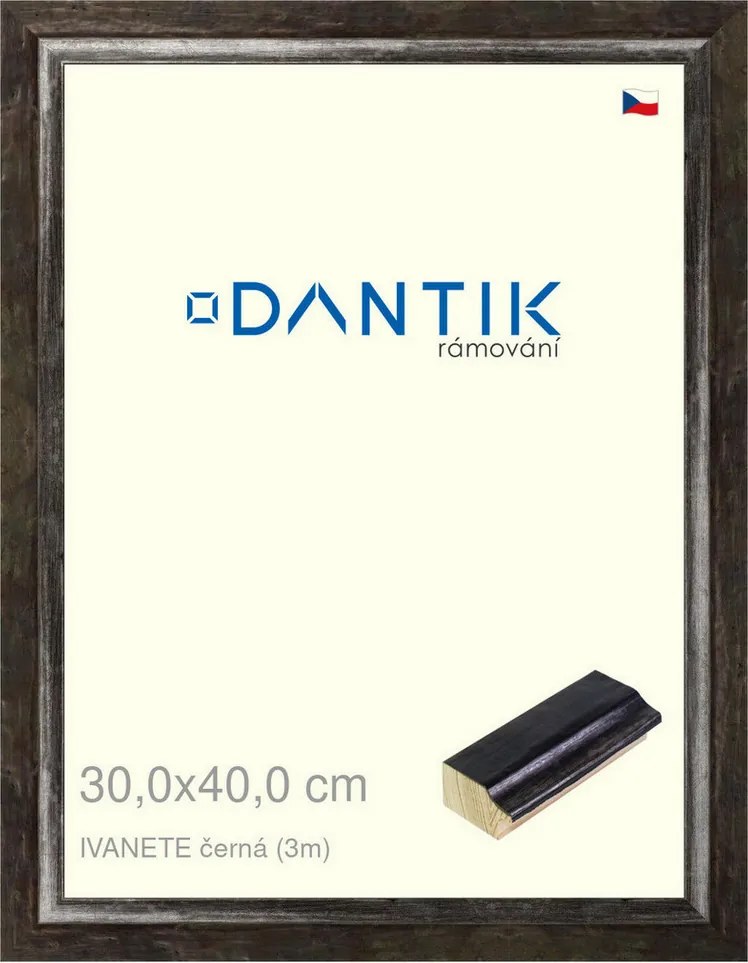 DANTIK rámeček 30x40 | IVANETE černá (Plexi Čiré)