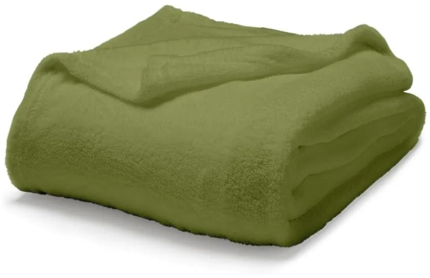 TODAY Maxi fleece deka 220x240 cm Bambou - zelená