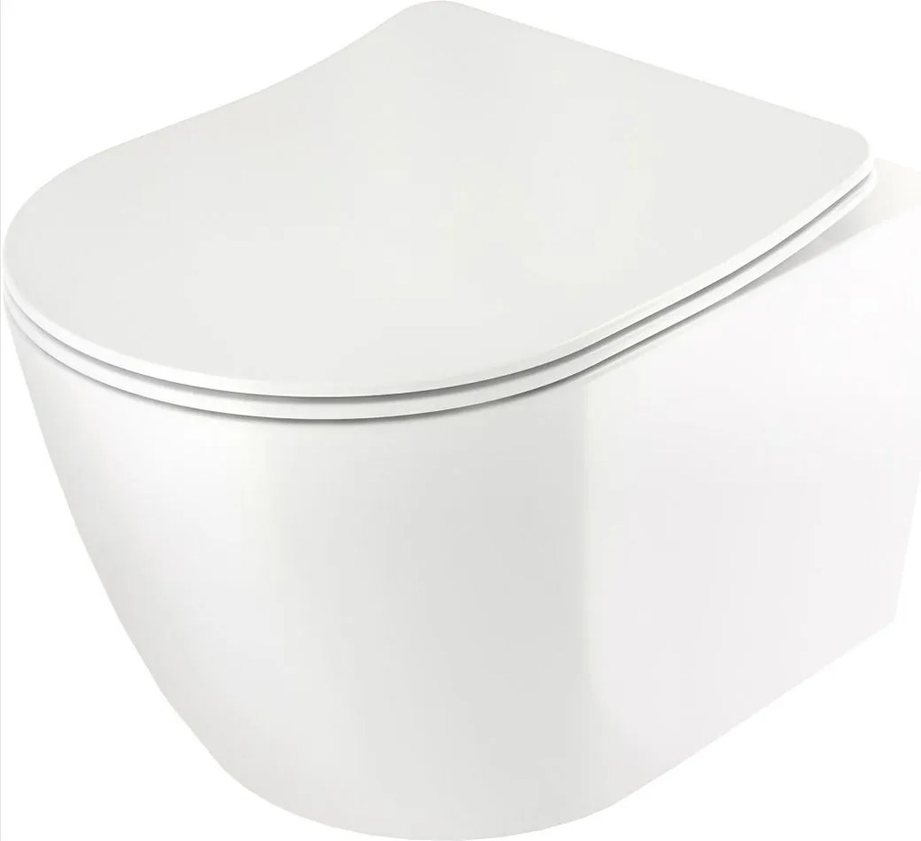 Camargue Paris Závěsné WC se sedátkem 2.0, 35 × 36 × 50 cm, bez splachovacího kruhu