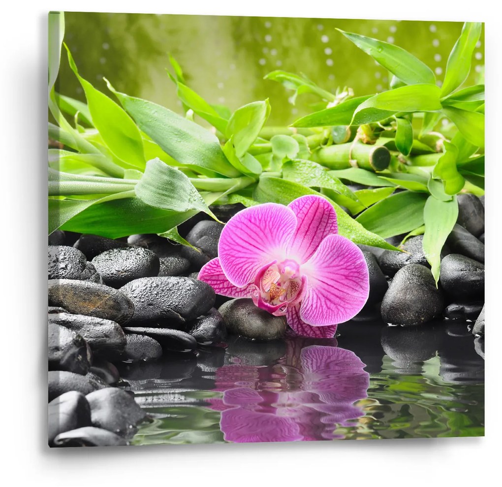 Obraz SABLIO - Růžová orchidej 50x50 cm