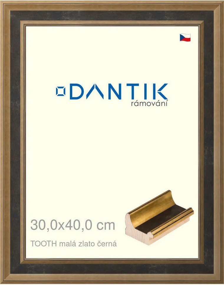 DANTIK rámeček 30x40 | TOOTH malá zlato černá (Plexi Čiré)