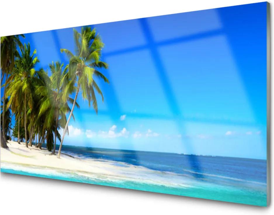 Obraz na skle Palma Strom Moře Krajina